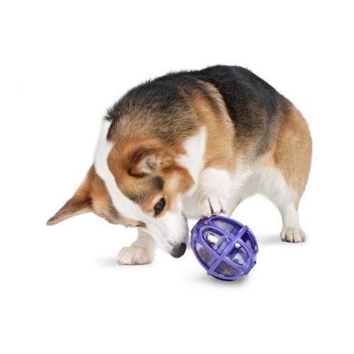 Busy Buddy® Kibble Nibble™ | Este juguete mantiene a los perros ...